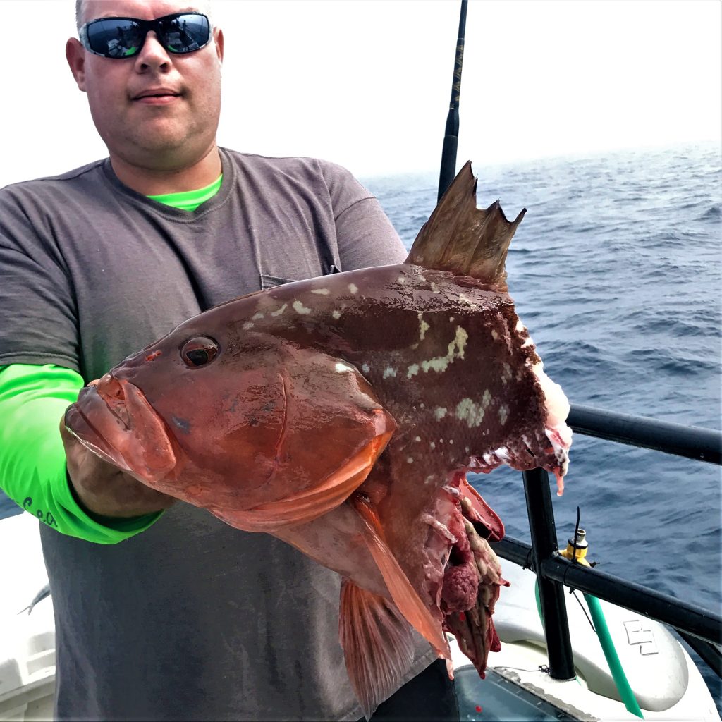 SharkGuard - Shark Deterrent - Protect Catch from Sharks